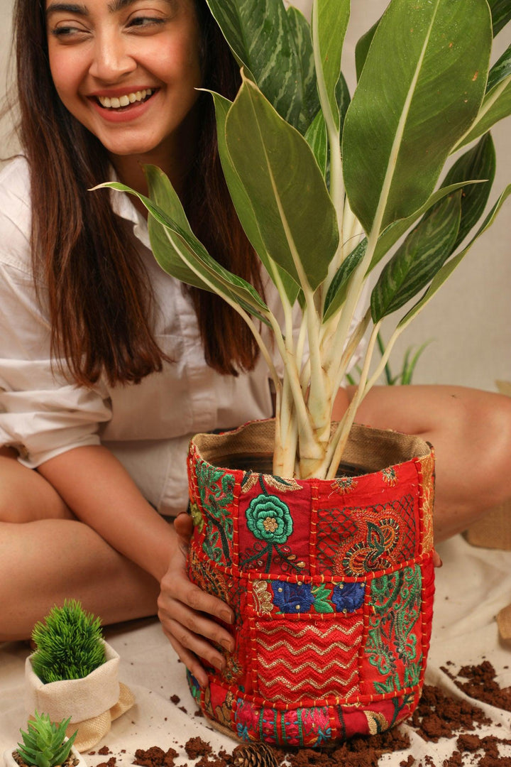 Pot Covers – Stylish Homes for Your Plants
